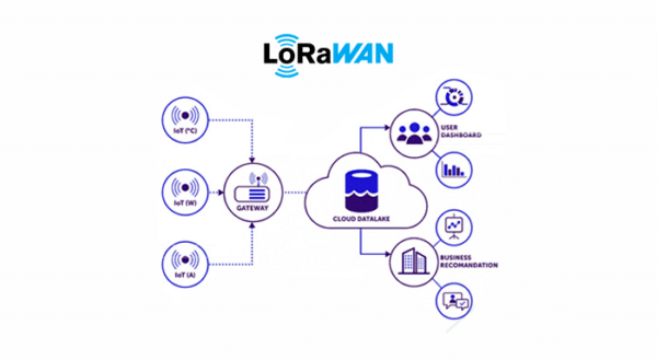LoRaWAN Simplified | Work, Components, Applications And Advantages ...